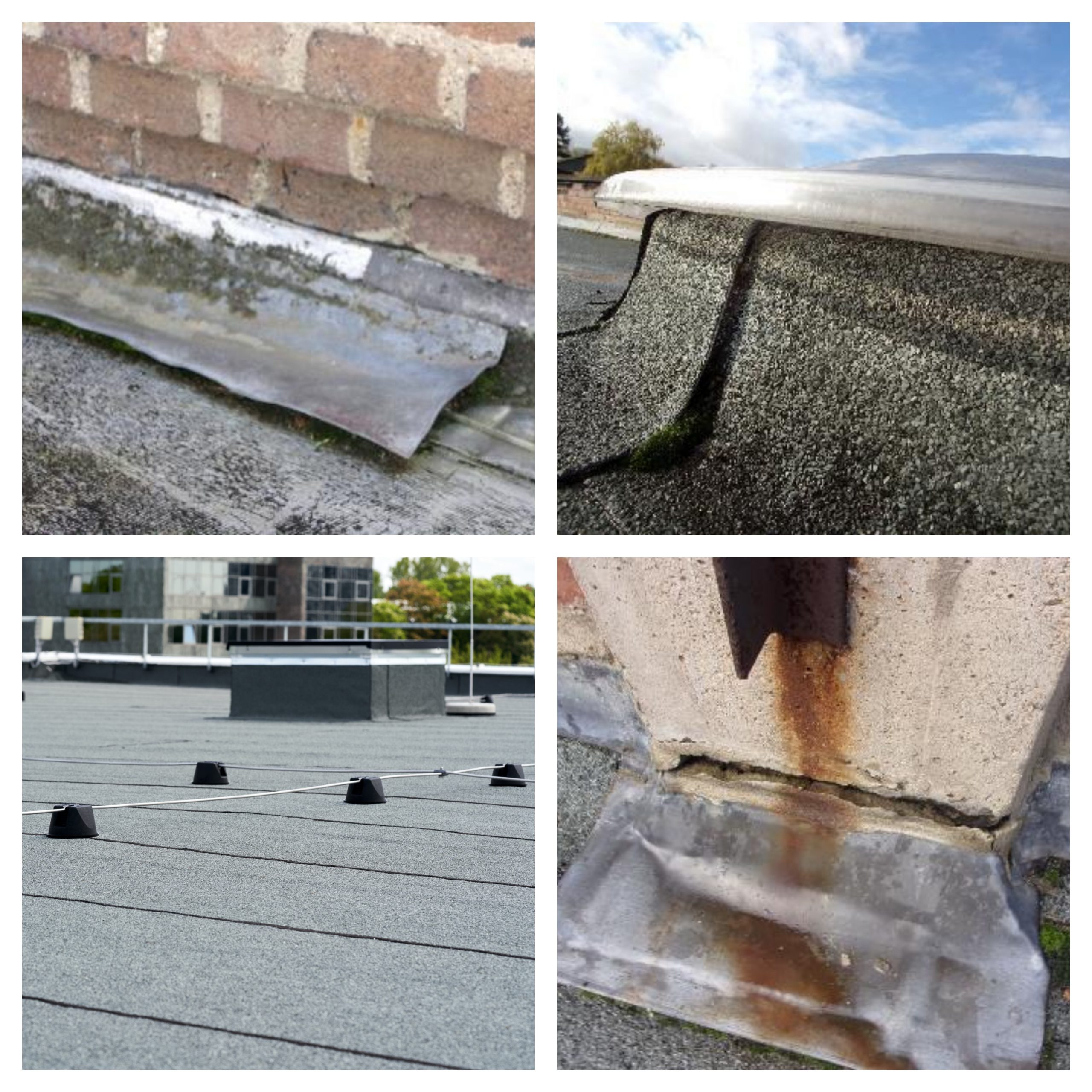 Roof Asset Management Programme (RAMP) | RAM Building Consultancy