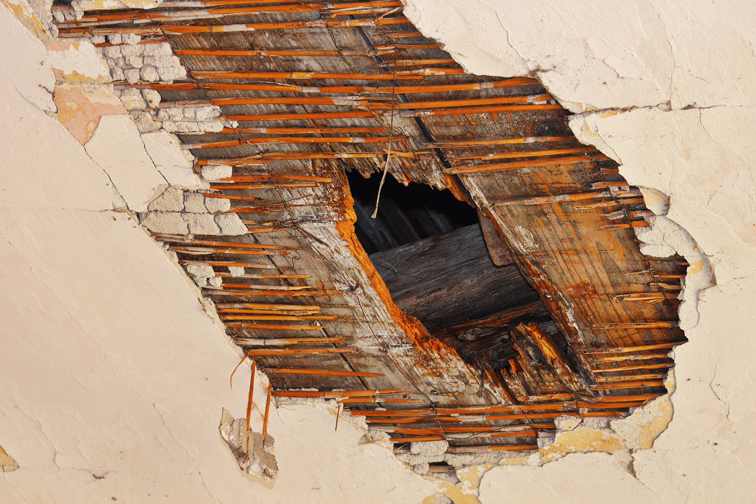 Understanding Damp and Mould in the UK: Causes, Risks, and Solutions
